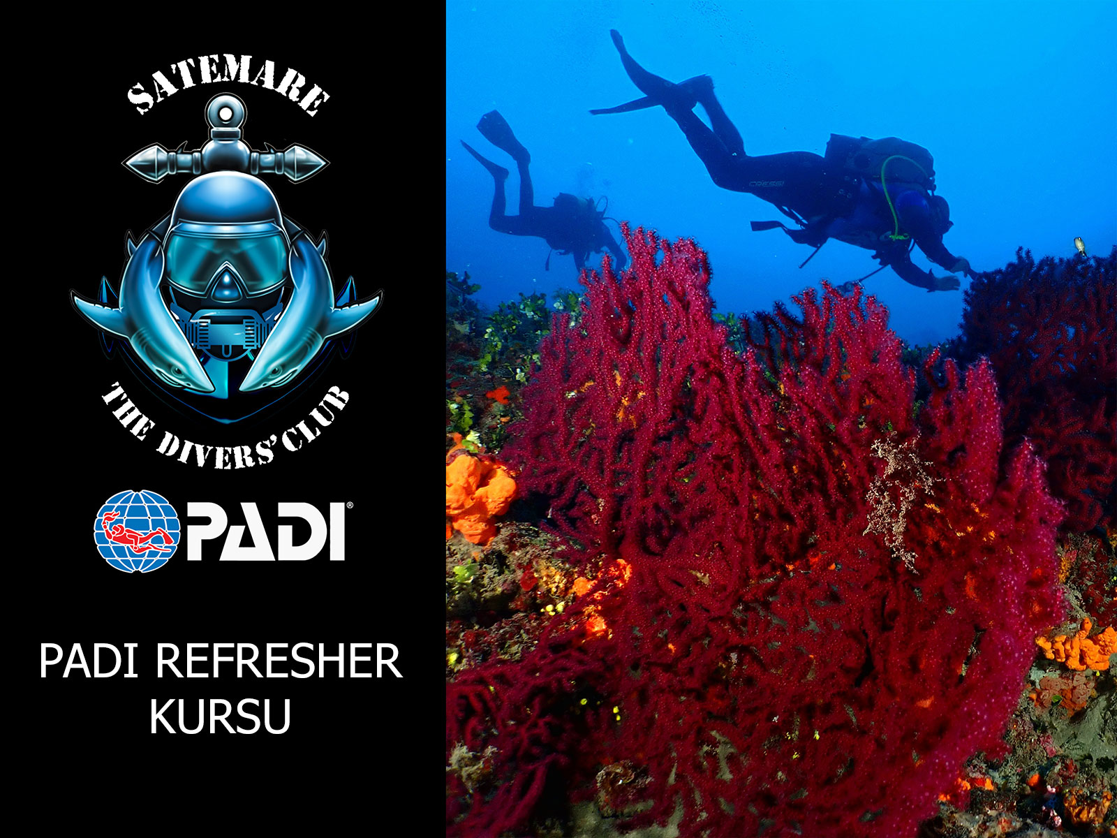 PADI ReActivate / Refresher Programı - The Divers' Club